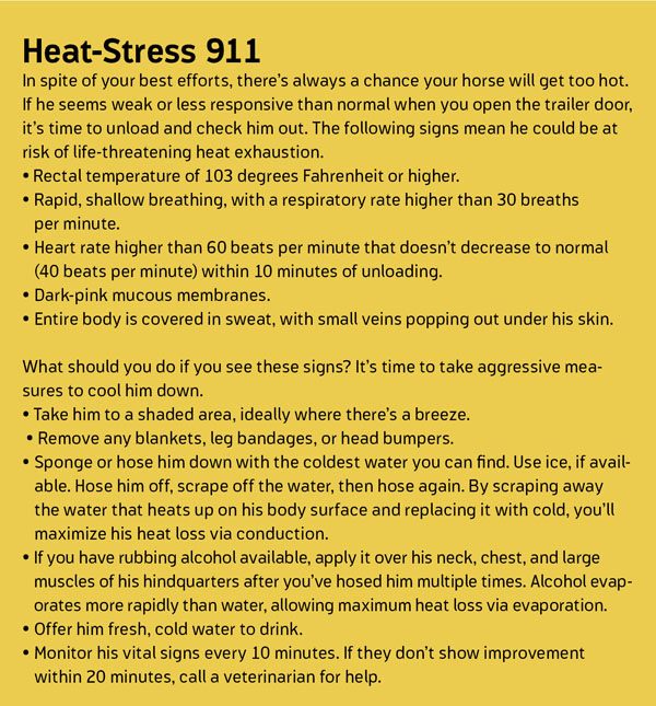 10 Tips for Hot Trips - USRider Equestrian Motor Plan