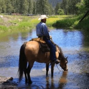 Be Water-Wise on Your Next Horse Camping Trip - USRider Equestrian ...