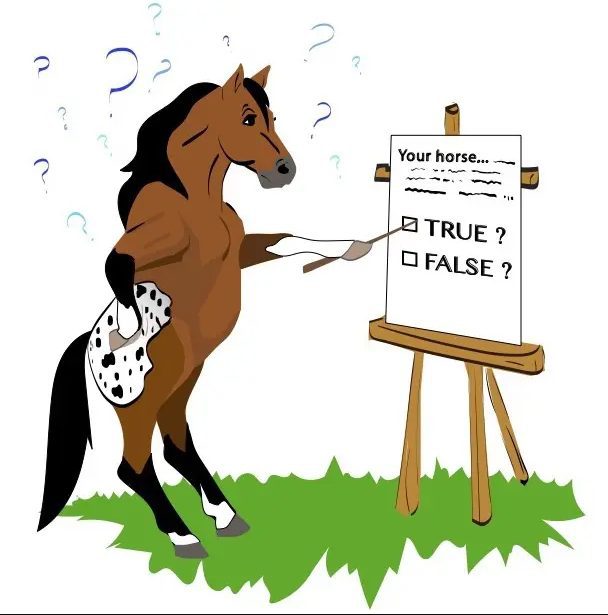 Trivia Challenge: Fun Facts about Trailers and Hauling - USRider ...